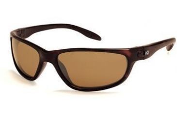 H2Optix Cayman Polarized Sunglasses - Shiny Tortoise Frame, Brown Lens ...